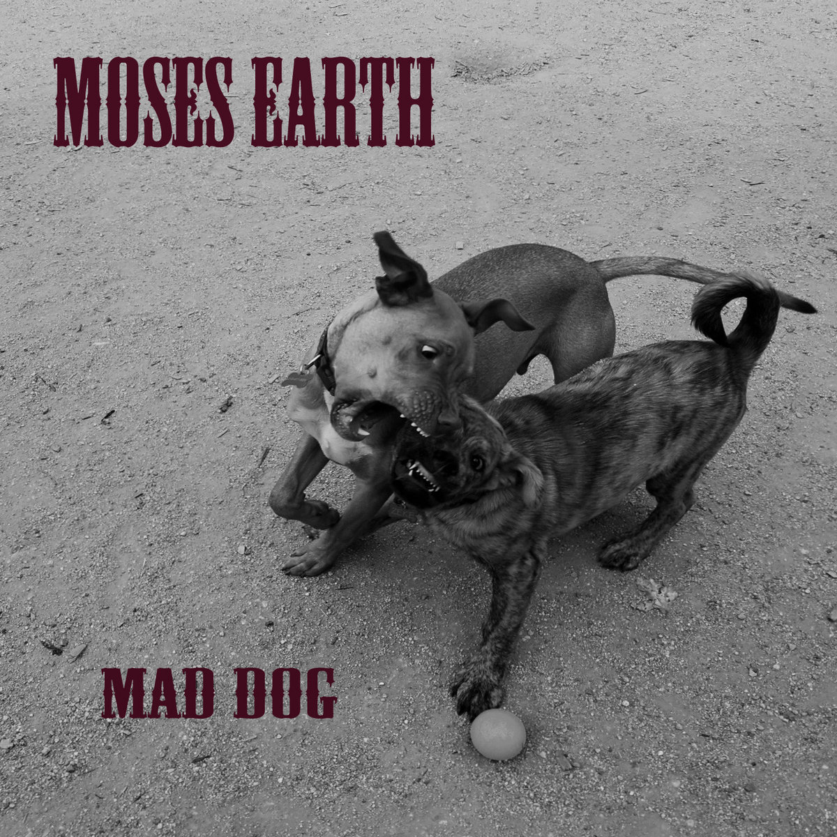 Mad Dog | Moses Earth