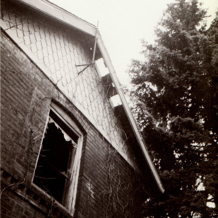 The Day That Knew No End / The Palace | maudlin of the Well | Kayo Dot ...