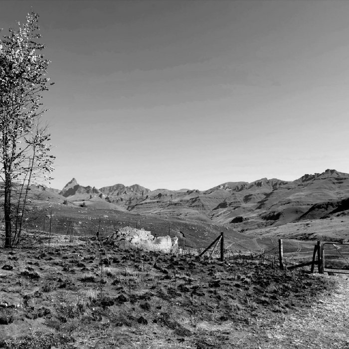 Rise Up, Dead Man | Rise Up, Dead Man