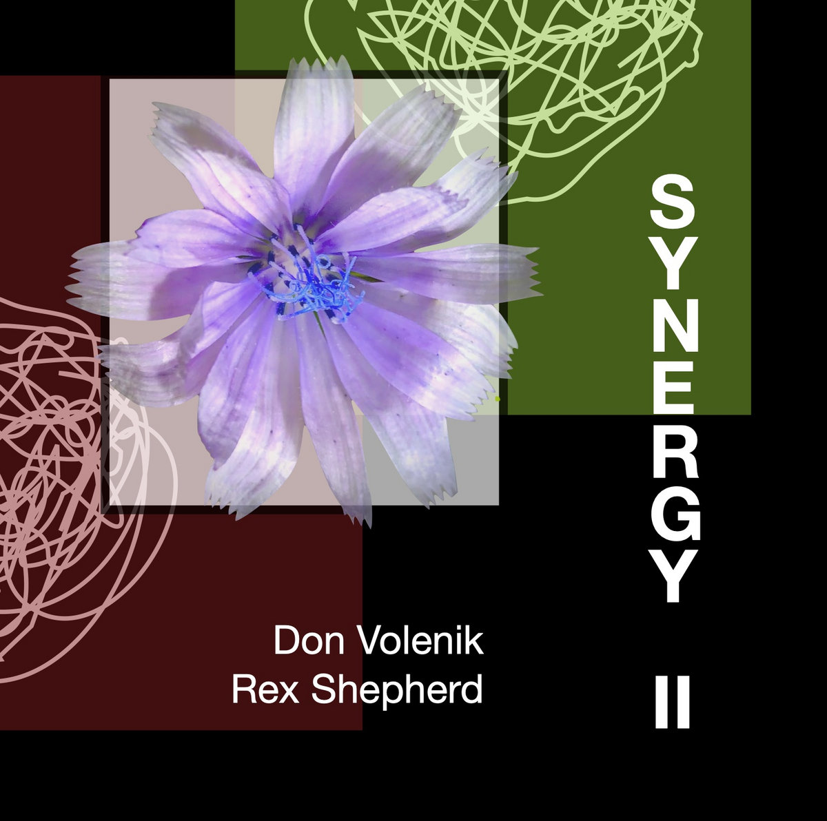SYNERGY II | Rex Shepherd and Don Volenik | Rex Shepherd