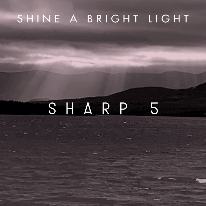 Shine A Bright Light | Teri Roiger