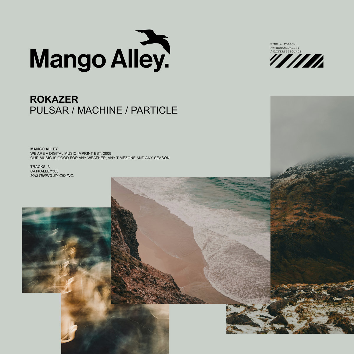 Pulsar / Machine / Particle | ROKAZER | Mango Alley