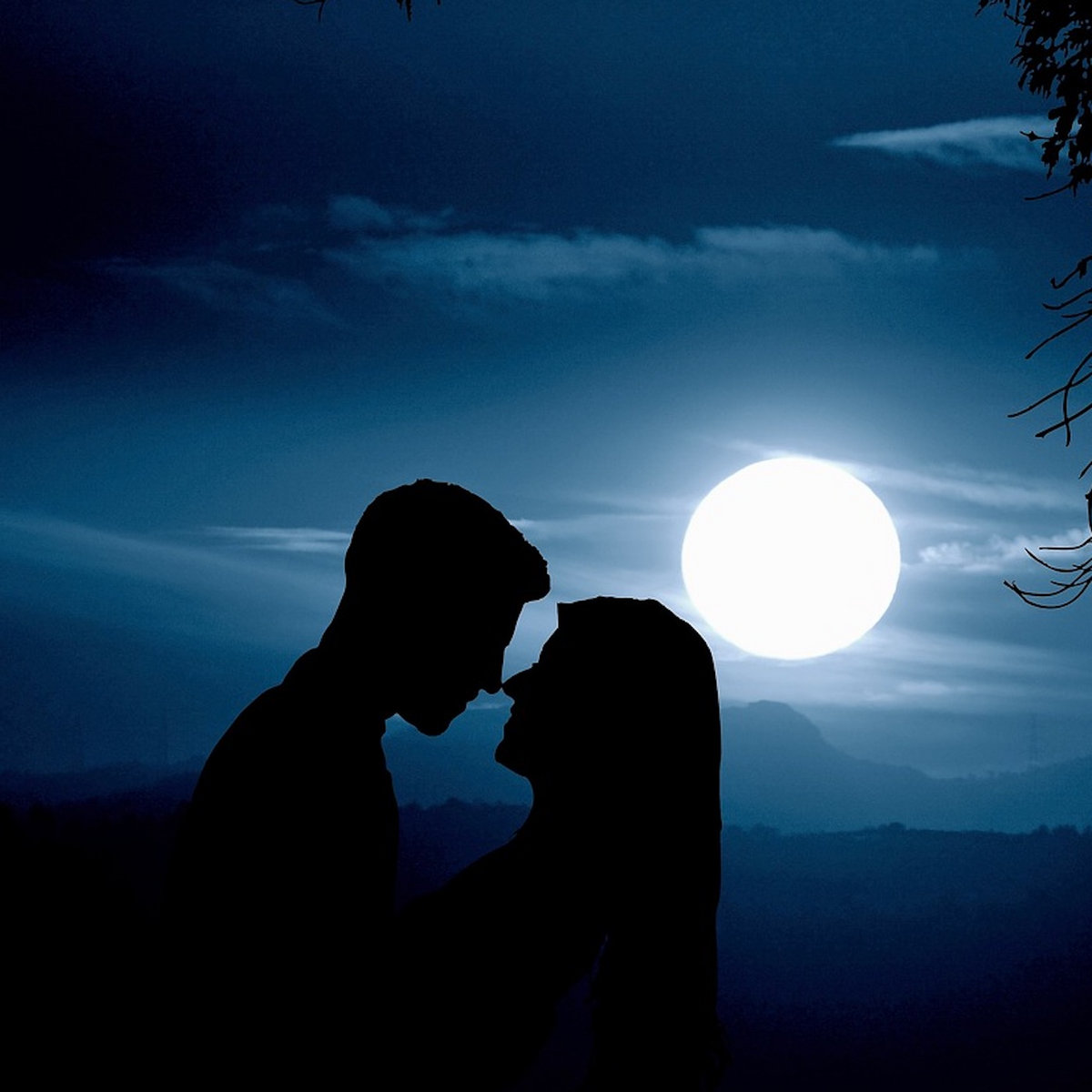 Moonlight Love | The Electric Stage Hogs