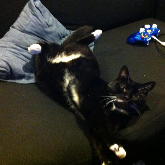 things I found on my hard drive vol. 1 | Barely March