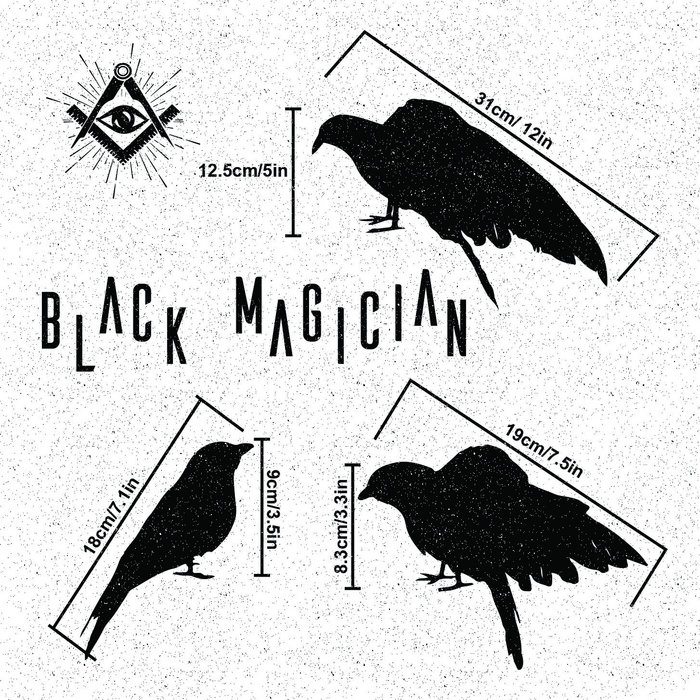 Matthew Allan | Matthew Allan