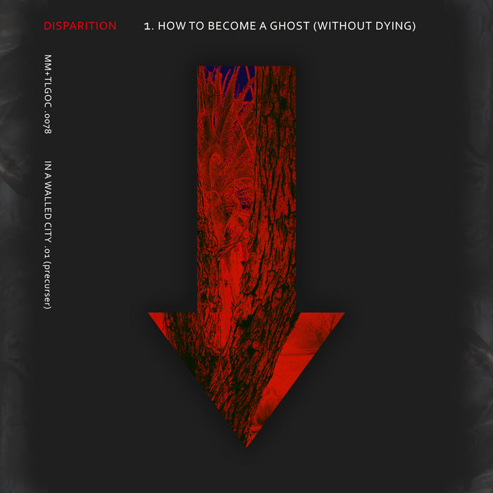 1. How to Become a Ghost (Without Dying) | Disparition