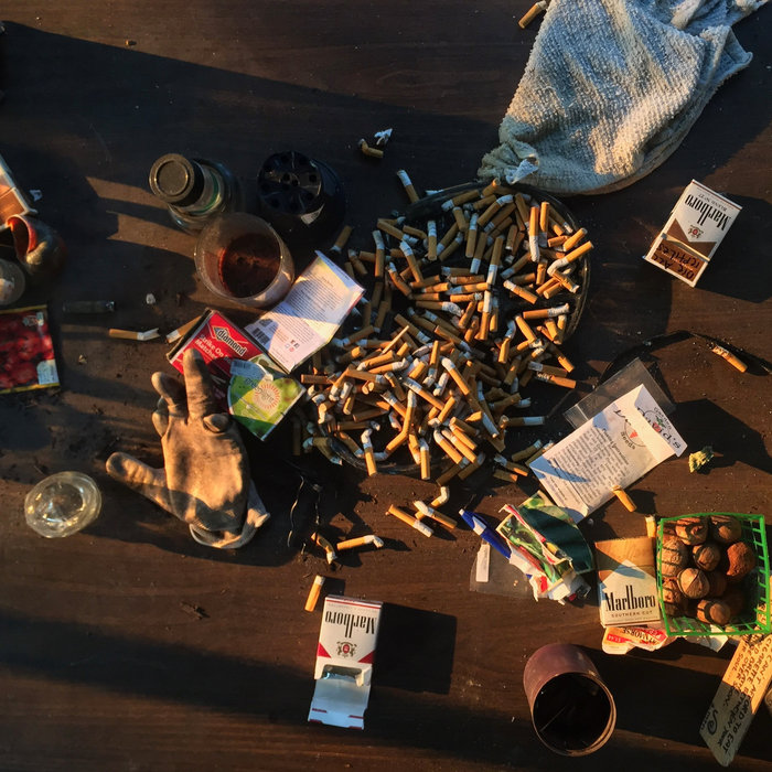 sad songs for stupid idiots | rover