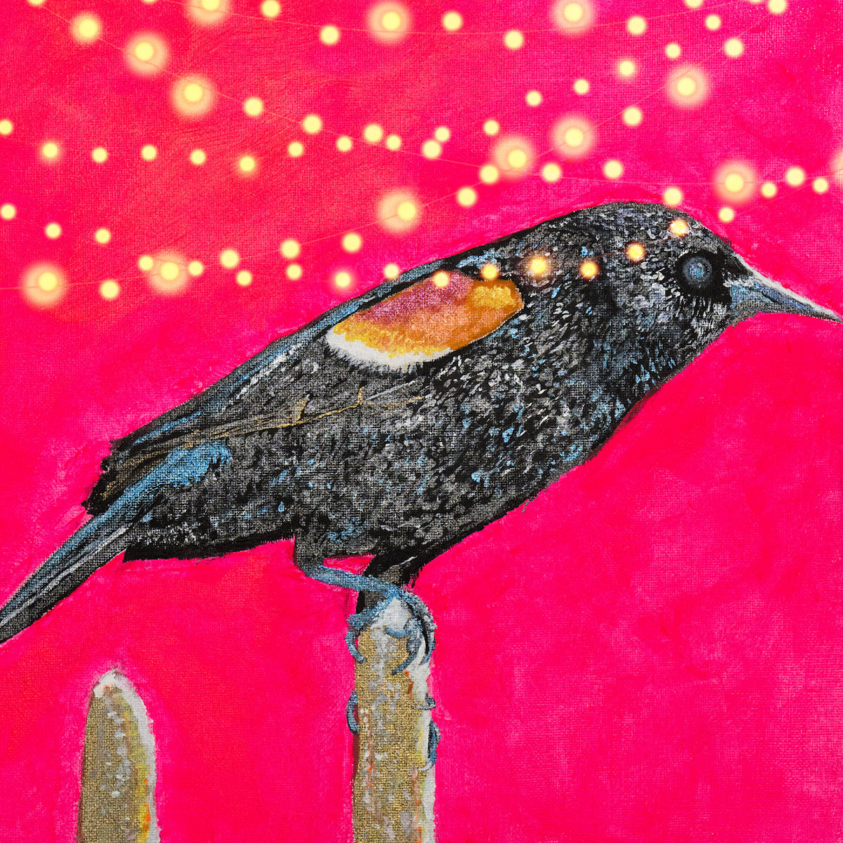 Signals | Ross Bellenoit