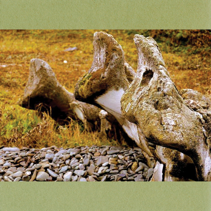 Birds of Naukan | Creation VI & Ugasanie | Tim Six • Creation VI