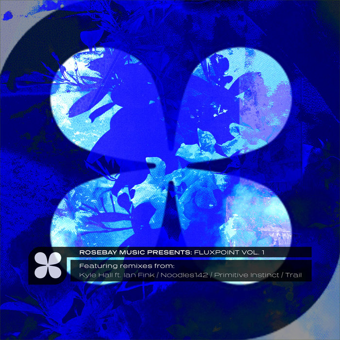 Fluxpoint Vol. 1 (Kyle Hall, Noodles142, Primitive Instinct, Trail) | Submorphics