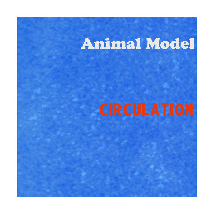 Circulation | Animal Model