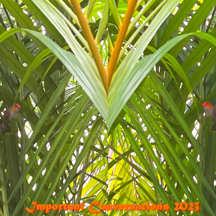 Important Conversations 2023 | Alex Tseng