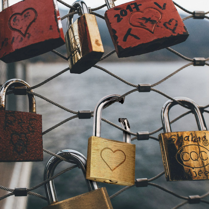 Mio Amore/Proud Mary | Shark As Attack