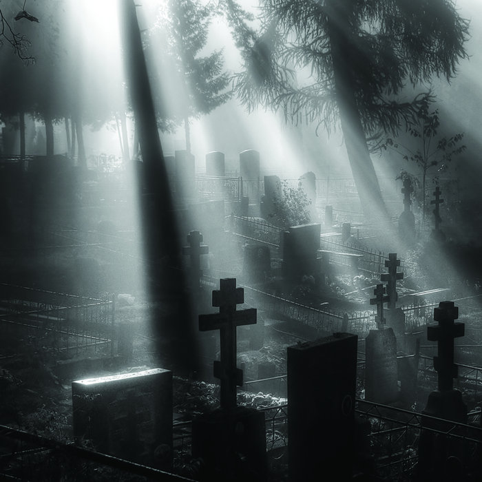 Veni Nox Anima | Oneirogen