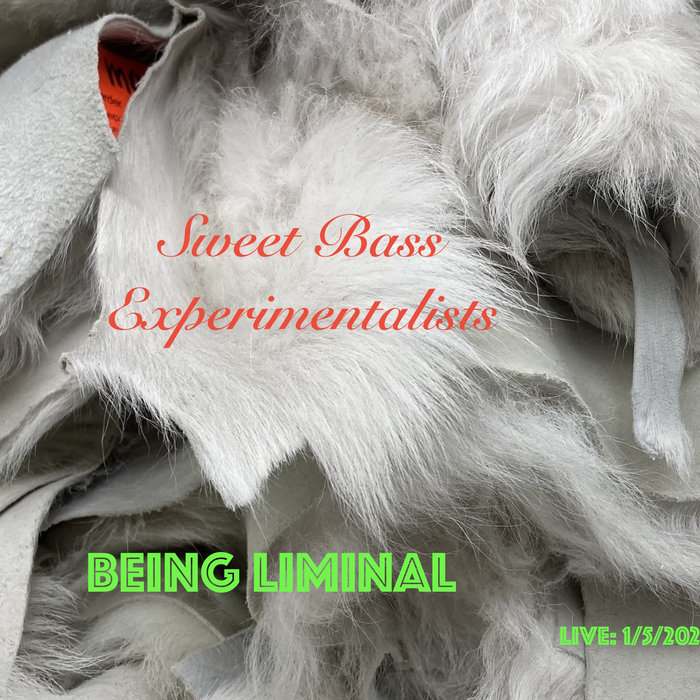 Being Liminal | Sweet Bass Experimentalists | Sweet Base