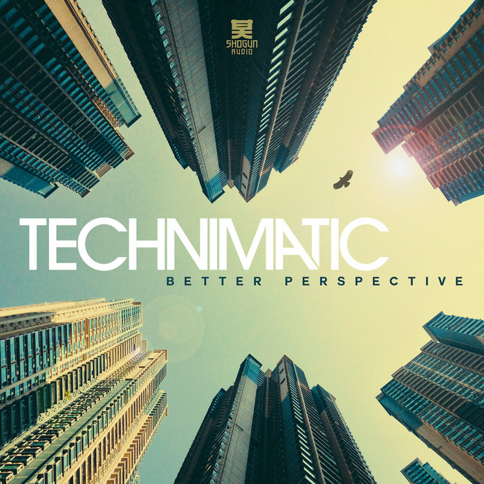 Better Perspective | Technimatic