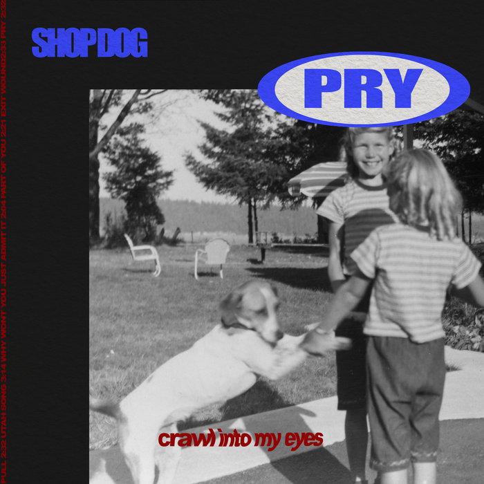 Pry | shop dog