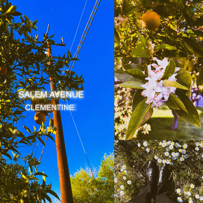 CLEMENTINE | SALEM AVENUE