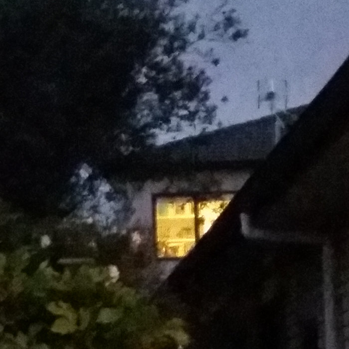 Replaying Memories in Your Head is Not Living | Cosmic Indifference ...