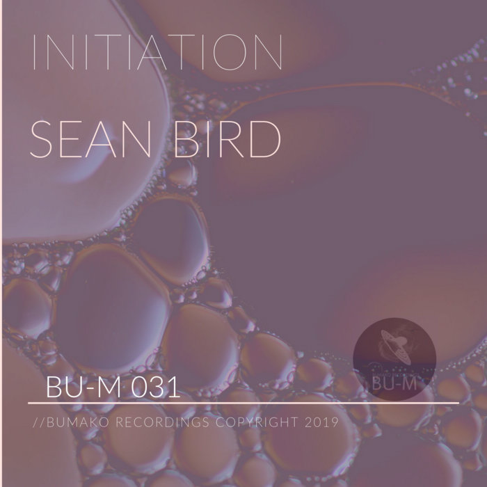Initiation | Sean Bird