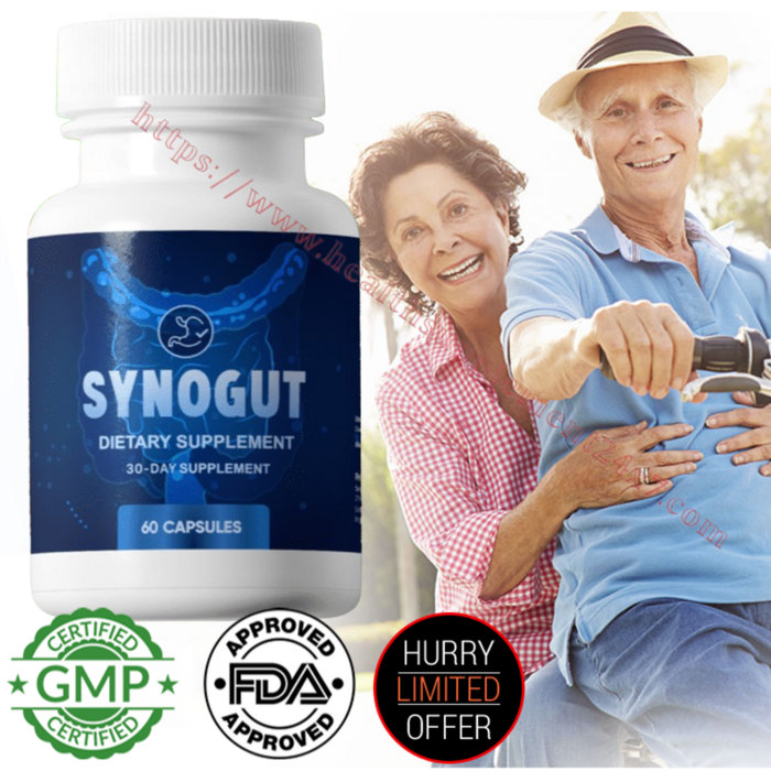 Inside Synogut: Exploring the Science Behind Gut Health | Synogut