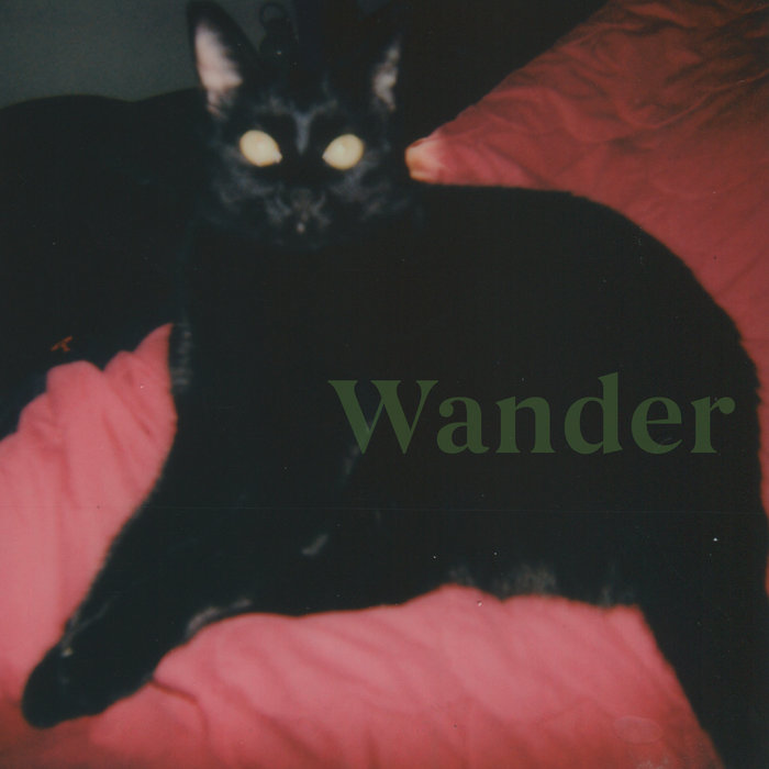 Wander | Ketamine Cat