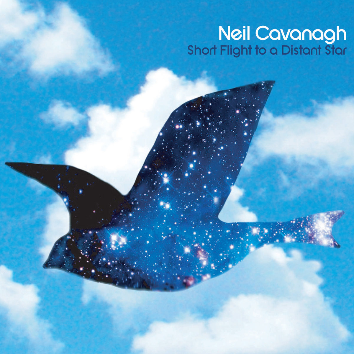 Short Flight to a Distant Star | Neil Cavanagh