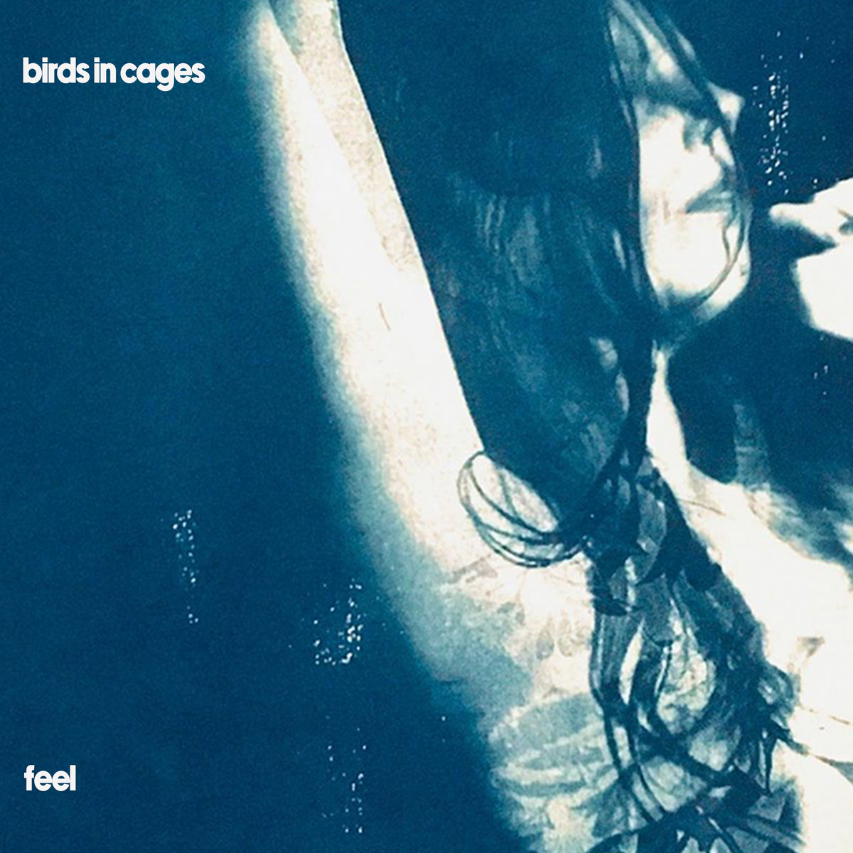 feel | birds in cages