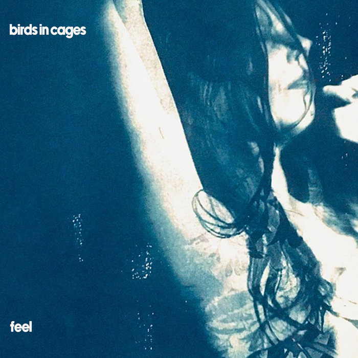 feel | birds in cages