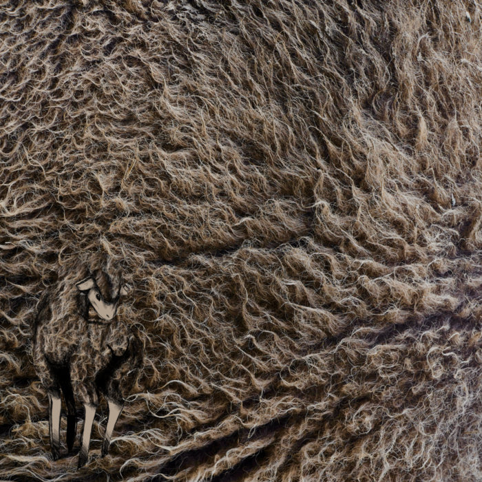 Lamb (FULL CHOP) | Fleecehorn | pleasedontsummonme