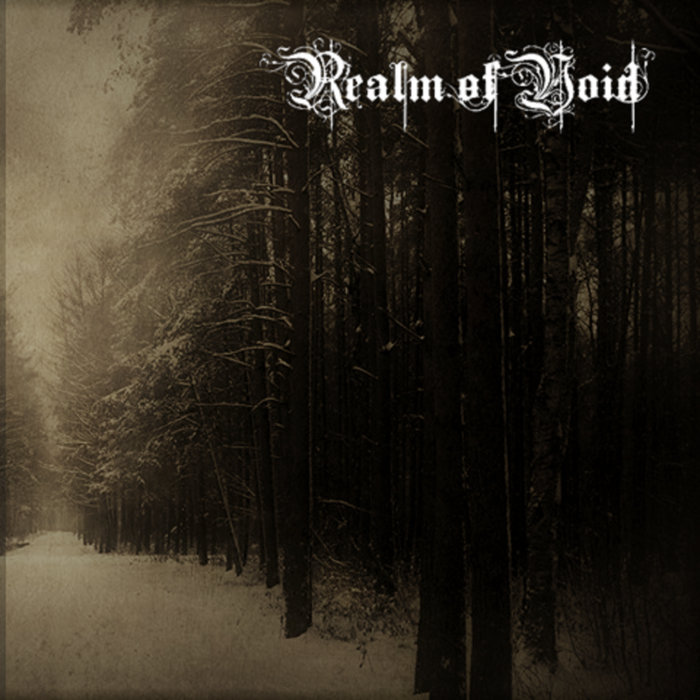 The Realm of Void | Realm of Void