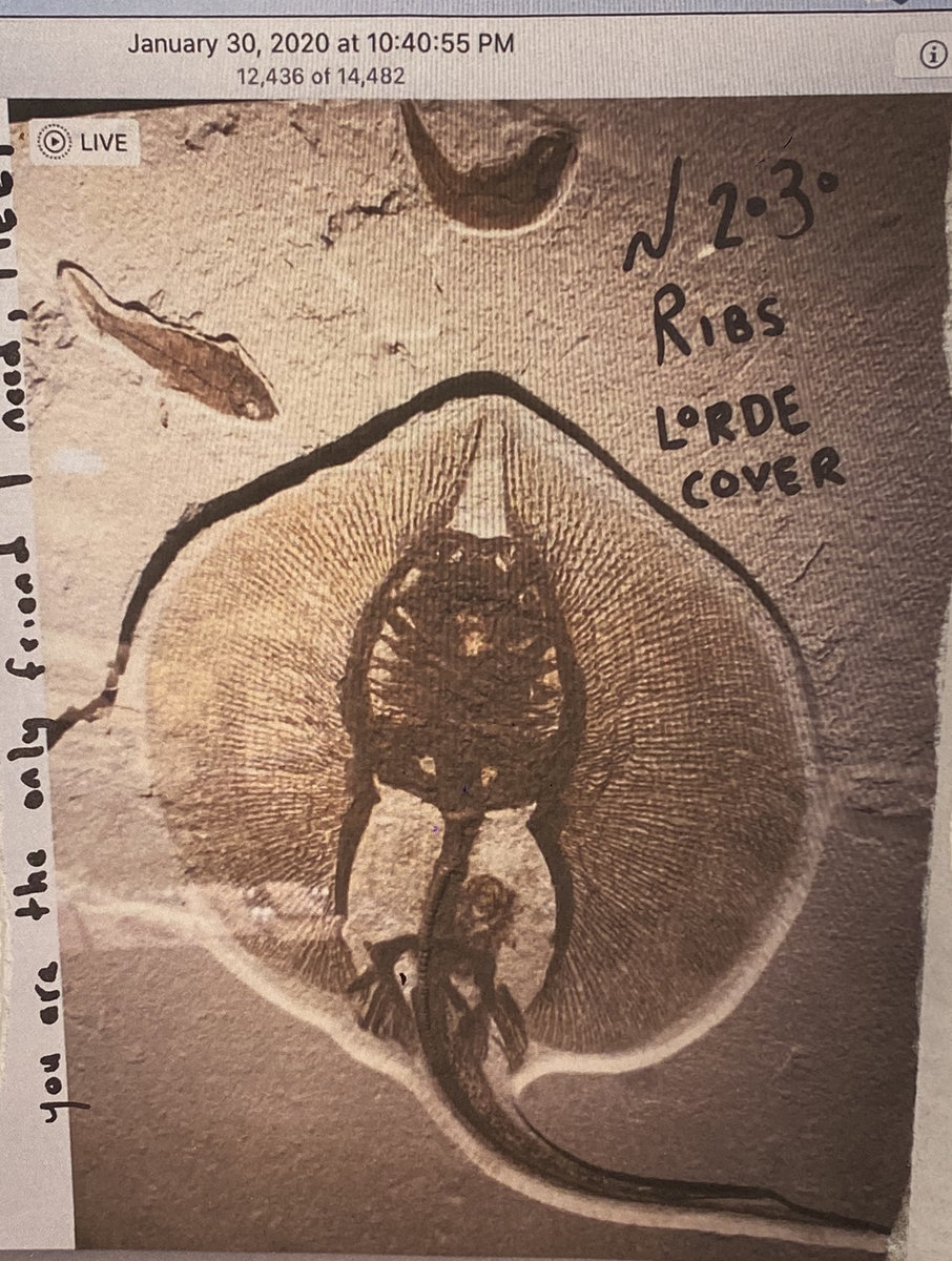 Ribs (Lorde Cover) | Nilismo 2030