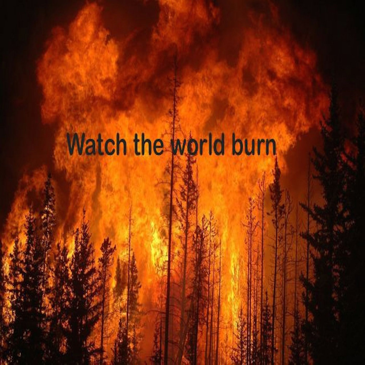 Watch the World Burn | And Then There Was One