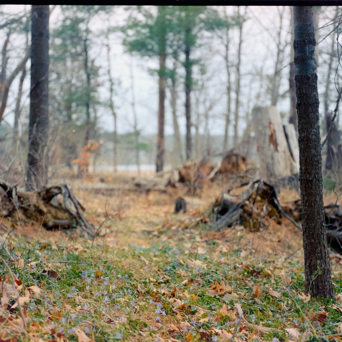 harris island demo | geilt