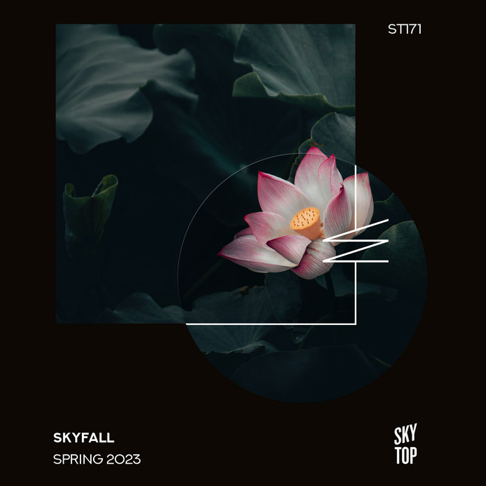 SkyFall Spring 2023 | Various Artists | Intricate Records