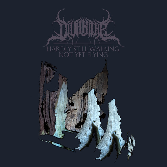 Hardly Still Walking, Not Yet Flying | Diva Karr | Fiadh Productions