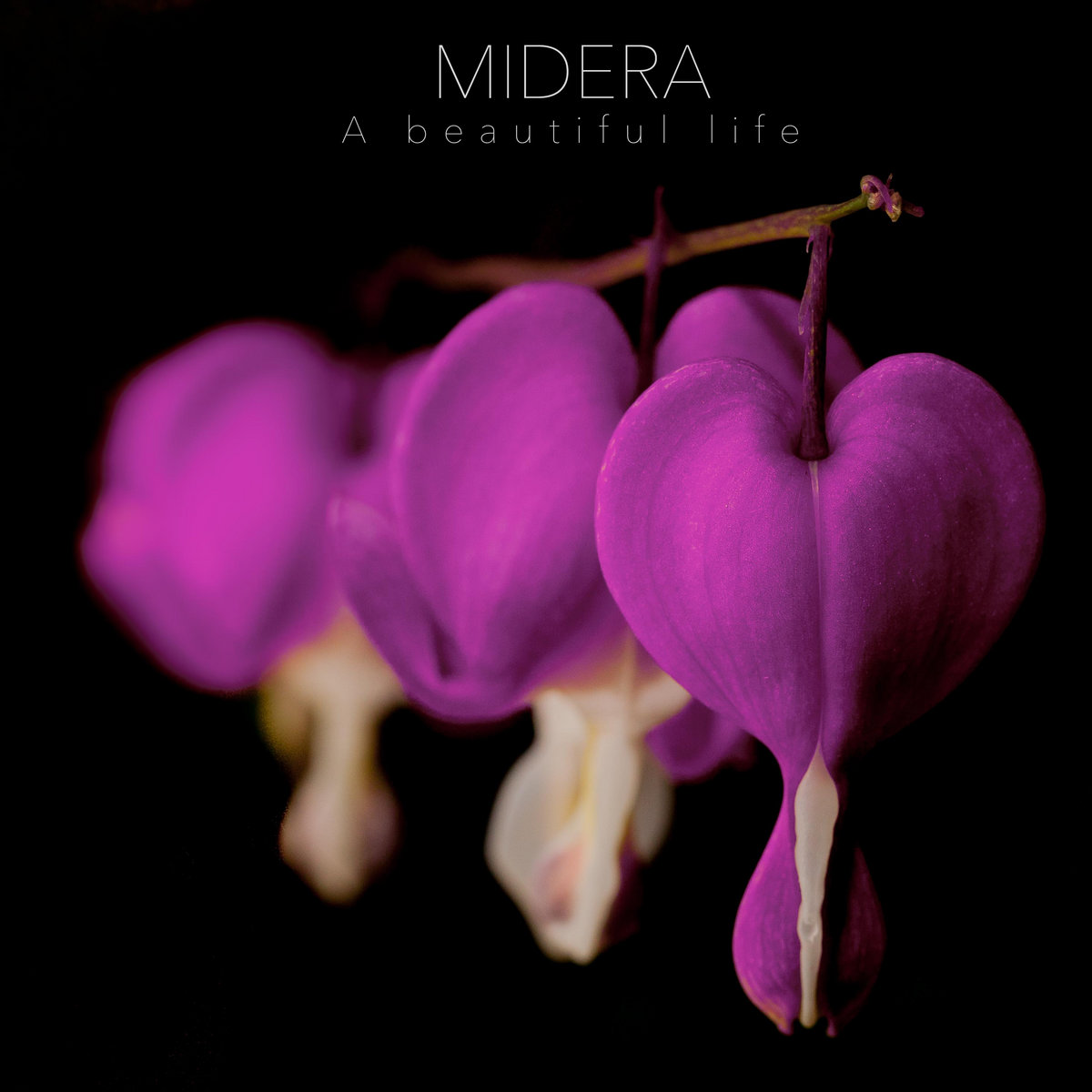 A beautiful life | Midera