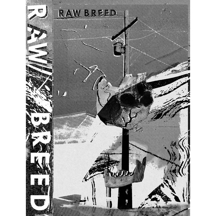 DEMO | Raw Breed