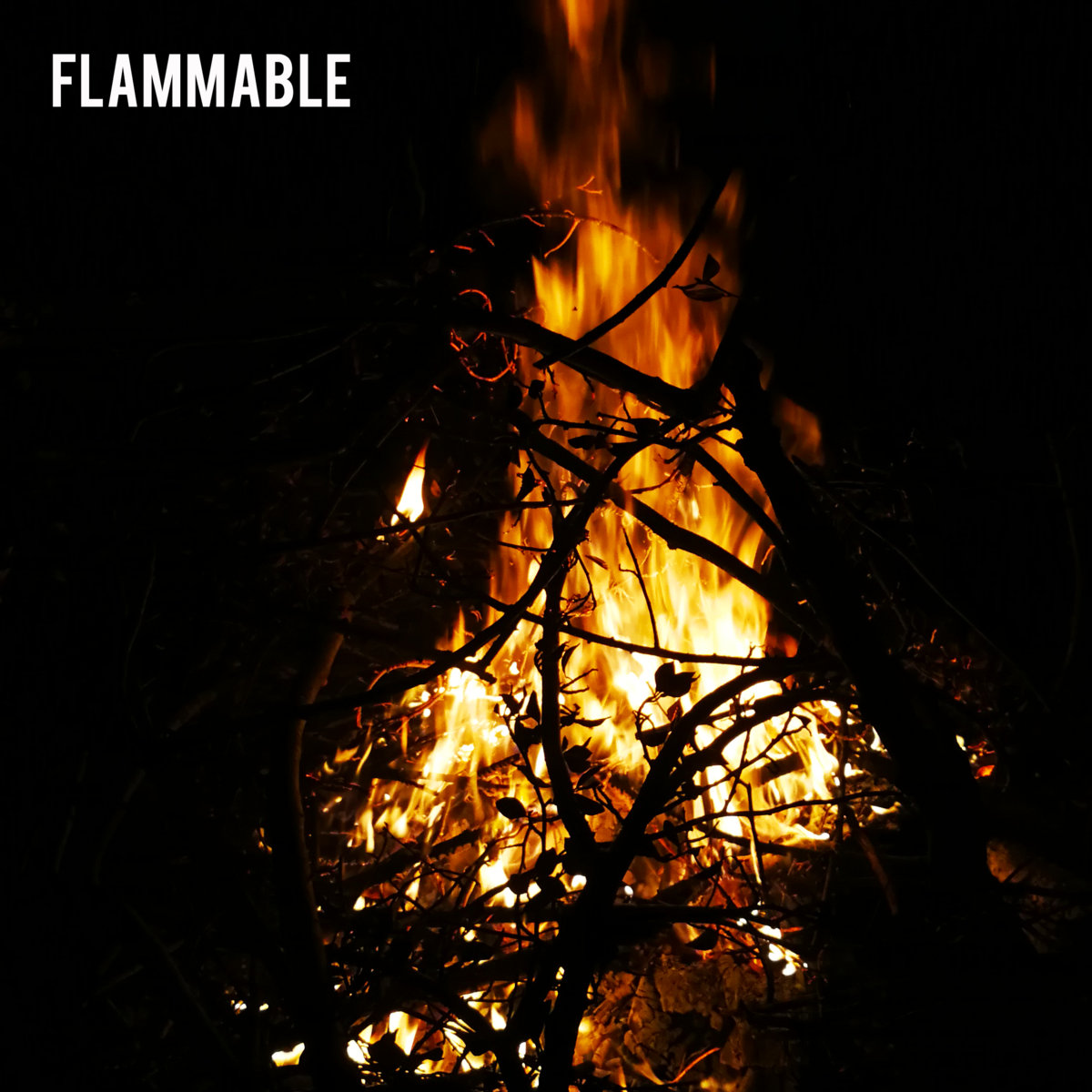 Flammable | 2hrsTEN