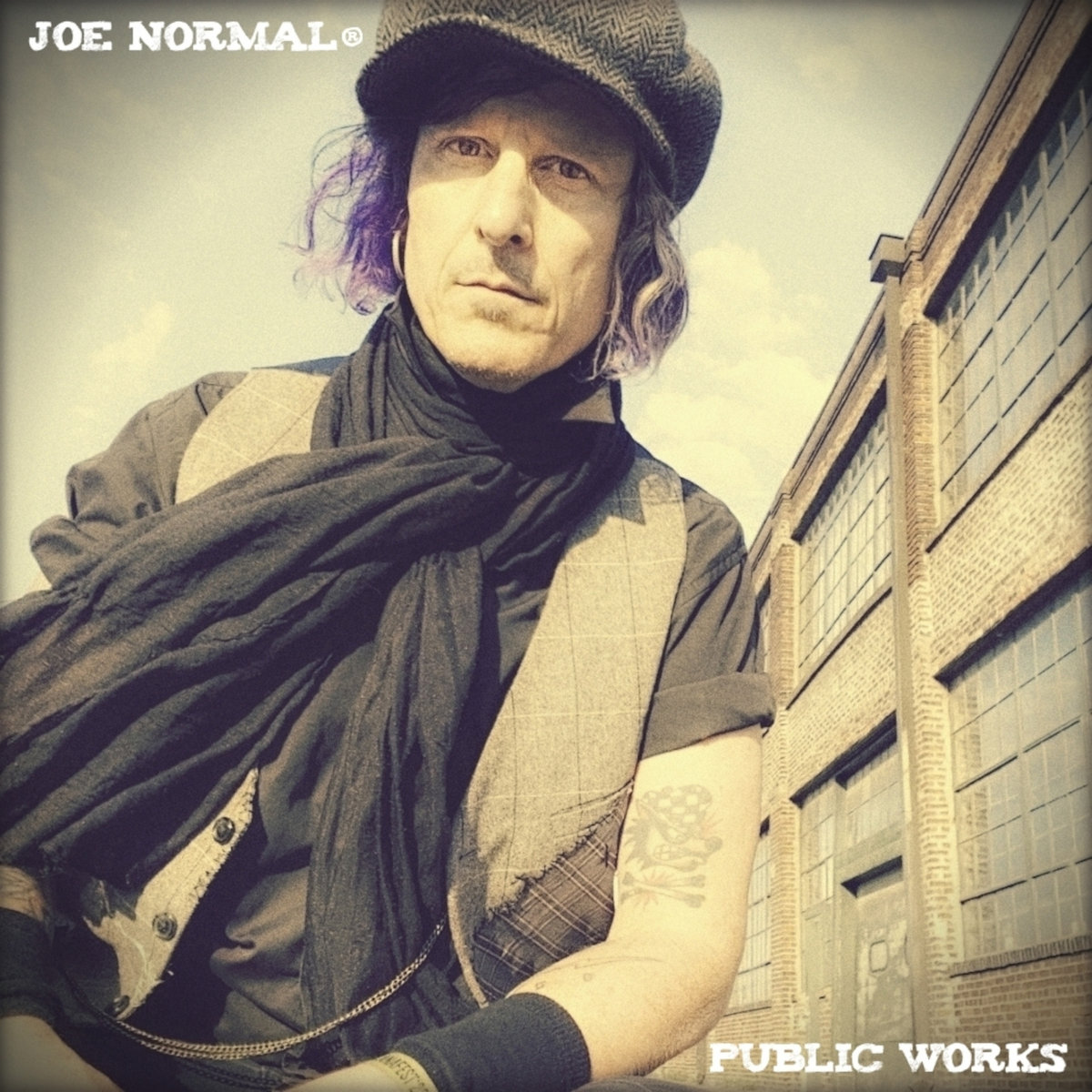 PUBLIC WORKS (12 Song Album) | Joe Normal