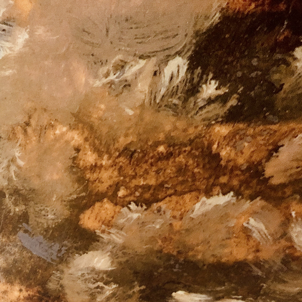 Daydreams | James Boland