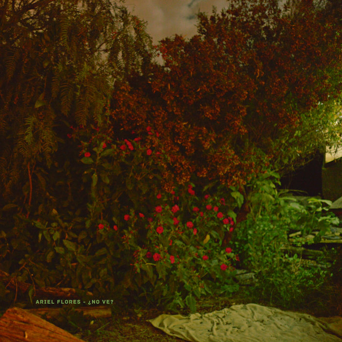 ¿No ve? | Ariel Flores | Norman Bates