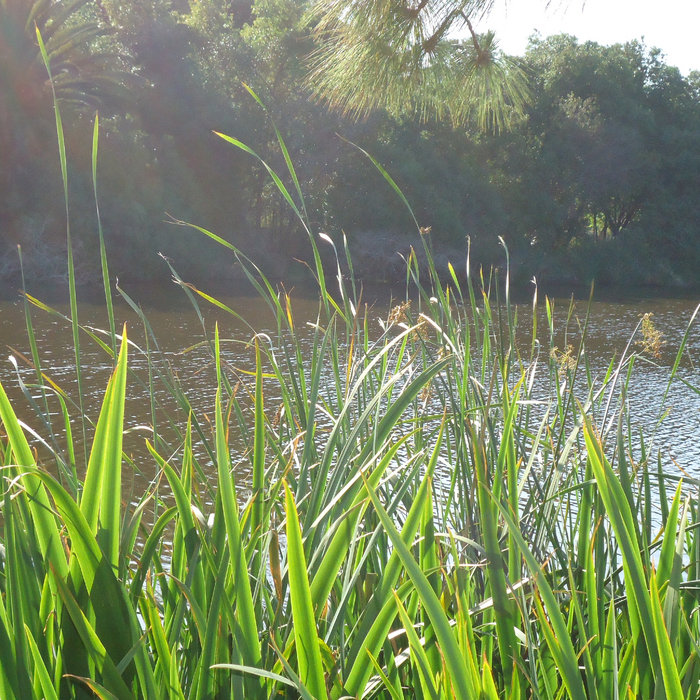 summer demo | idiot mitten