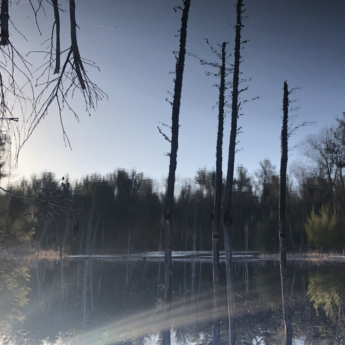 Whip-poor-will | Mike Bullock