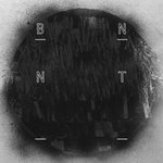 BNNT