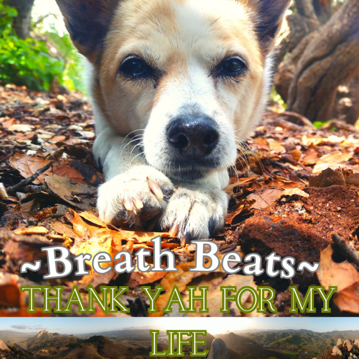 THANK YAH FOR MY LIFE | Benjamin Calvert