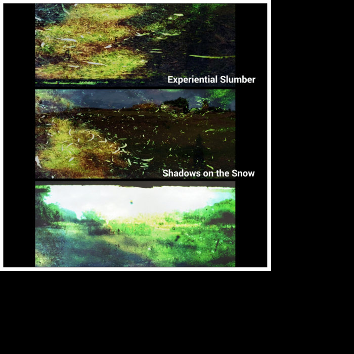 Experiential Slumber | Shadows On The Snow | December Nightskies