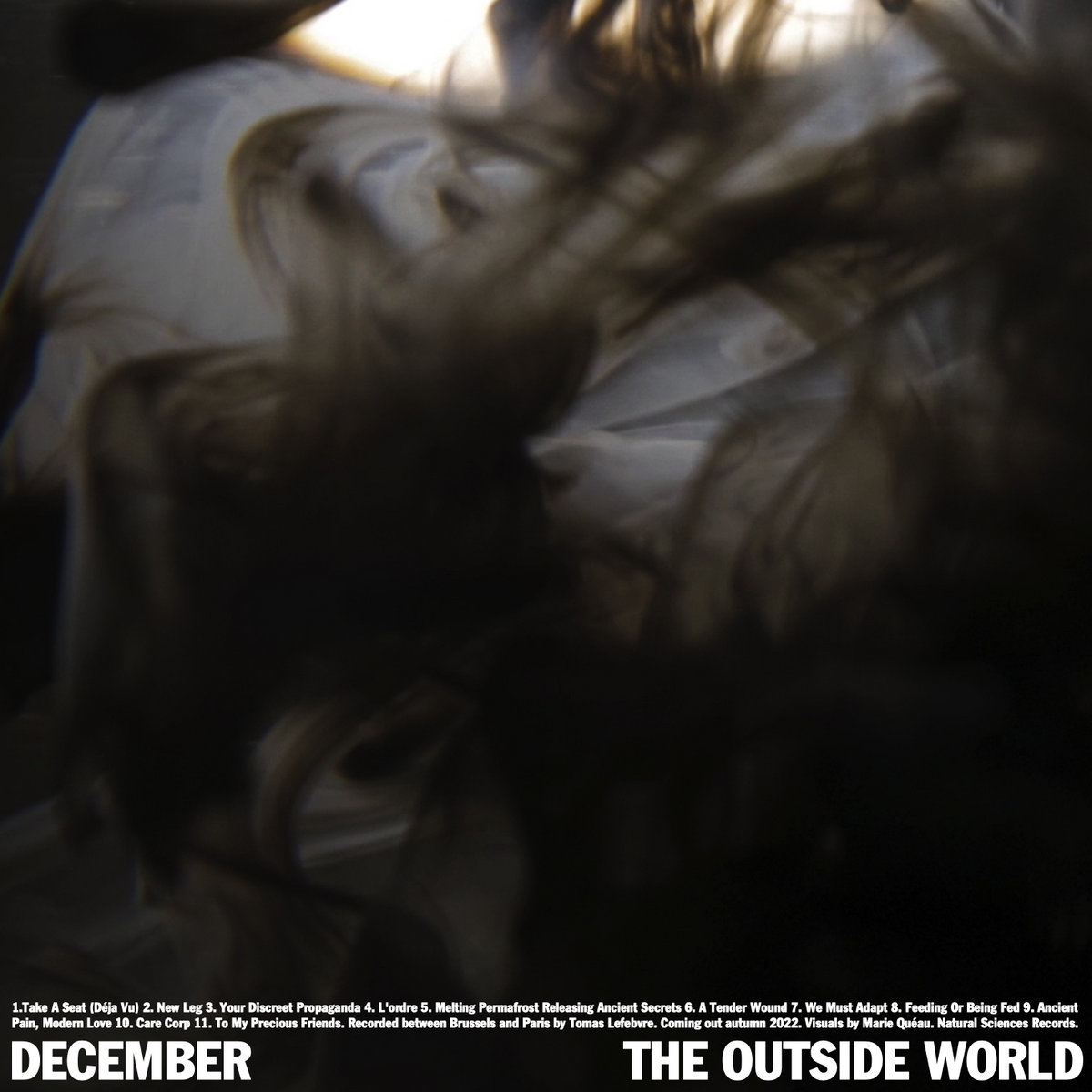The Outside World | December | Natural Sciences