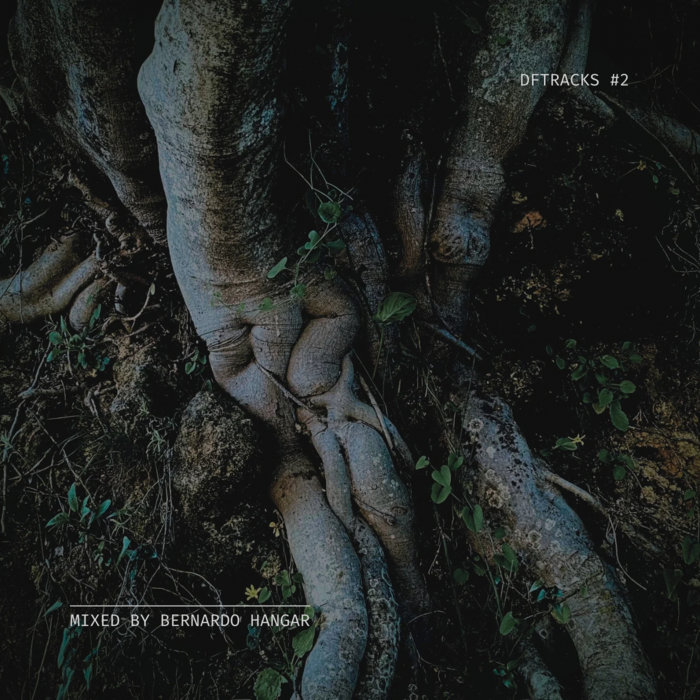 DFTRACKS MIX #2 | DarkForest