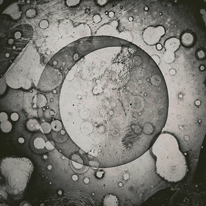 Goodbye, Cool World | Workprint